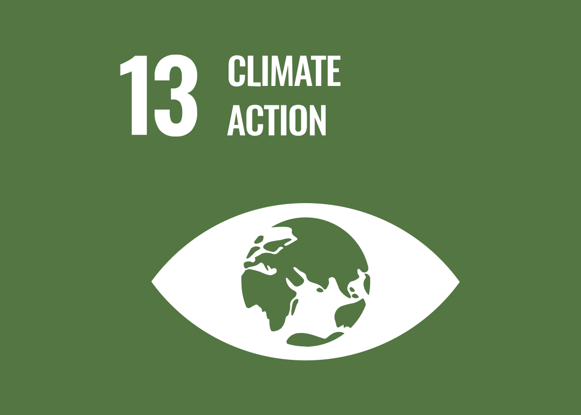 Partnerships2030: MSP-Factsheet – SDG 13